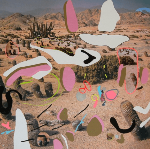 virginia echeverria whipple – Suyun Lee