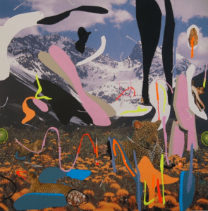 virginia echeverria whipple – Suyun Lee