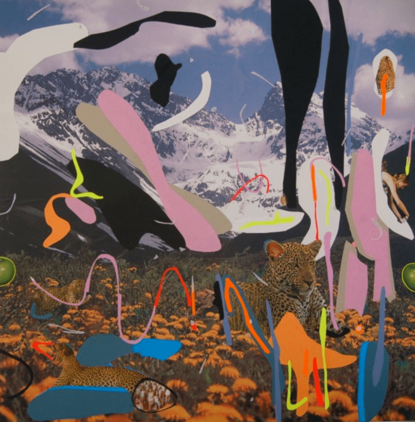 virginia echeverria whipple – Suyun Lee