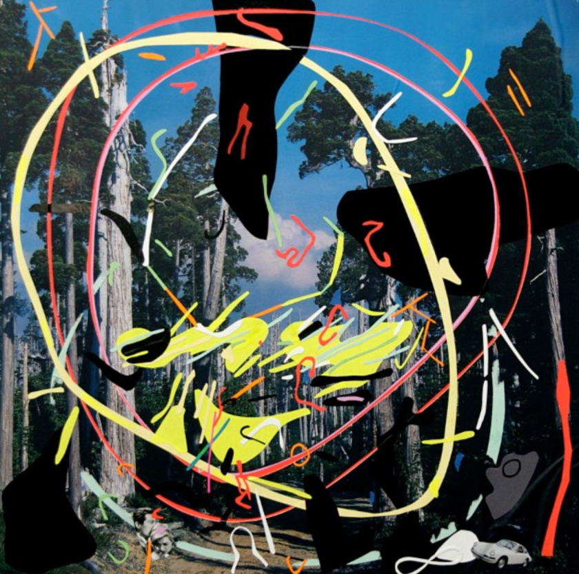 virginia echeverria whipple – Suyun Lee